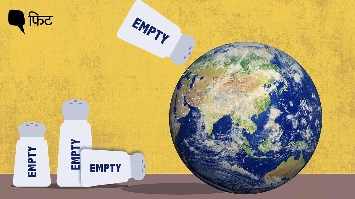 Importance of Salt in Hindi: जानिए कि हम नमक के बिना क्यों नहीं रह सकते ...