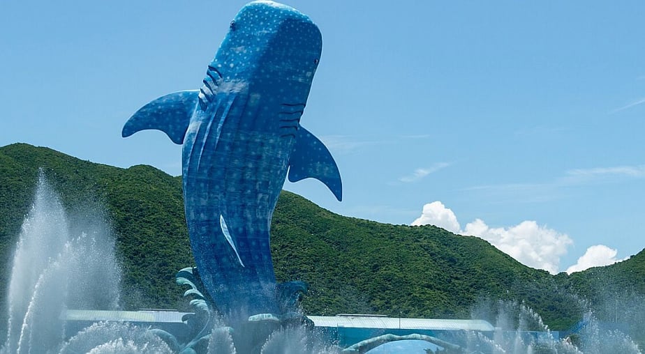 Chimelong Ocean Kingdom: Engineering Marvel and Marine Wonderland