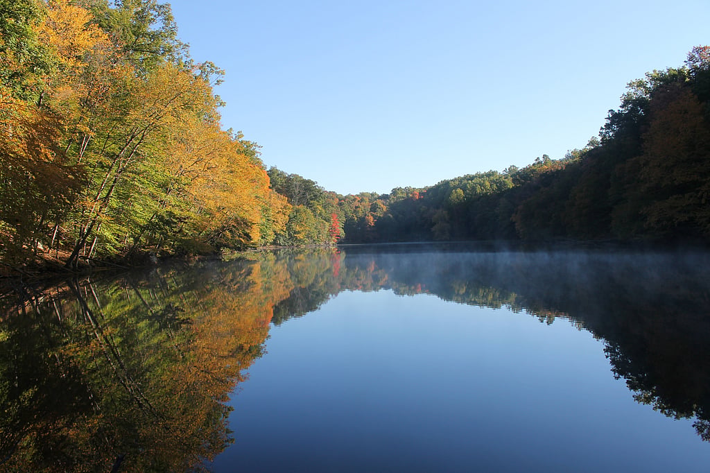 Discover Teatown: Nature's Escape Near New York City