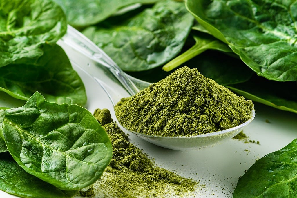 Boost Energy: Natural Greens Powder for Busy Professionals