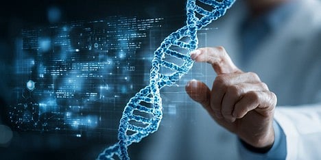 Dynamic DHF: Enhancing Quality and Traceability in Medical Devices