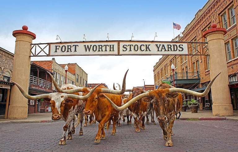 Discover Fort Worth: Top Cultural Events 2025–2026 Guide