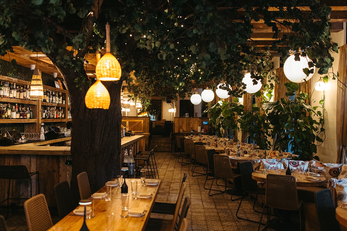 NYC Nightlife: Discover the Best Nightclubs for Late-Night Fun