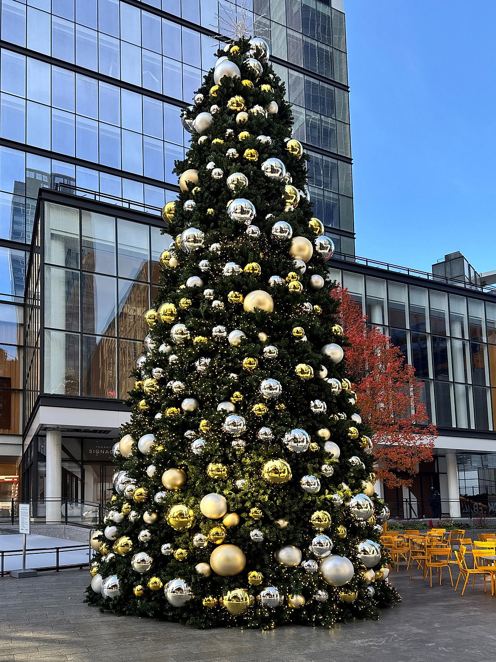 Penn District Holiday Dining: NYC's Festive Hub Shines Bright for 2025