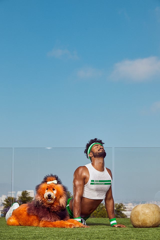 Gabriel Feitosa: The Pop Art Dog Grooming Virtuoso's Artistic Journey