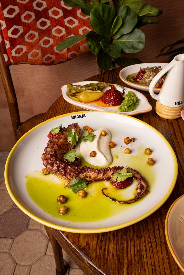 Chef Tom Aviv's Culinary Evolution: From MasterChef Israel to Miami's ...