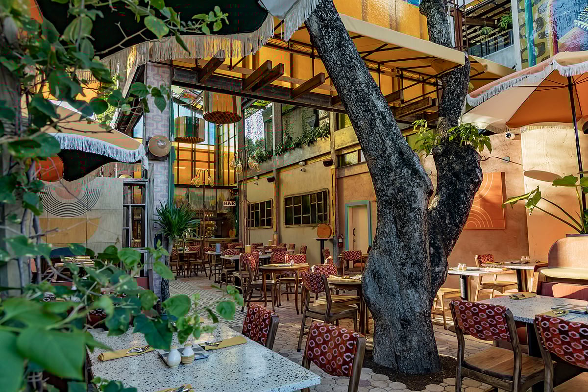 Chef Tom Aviv's Culinary Evolution: From MasterChef Israel to Miami's ...