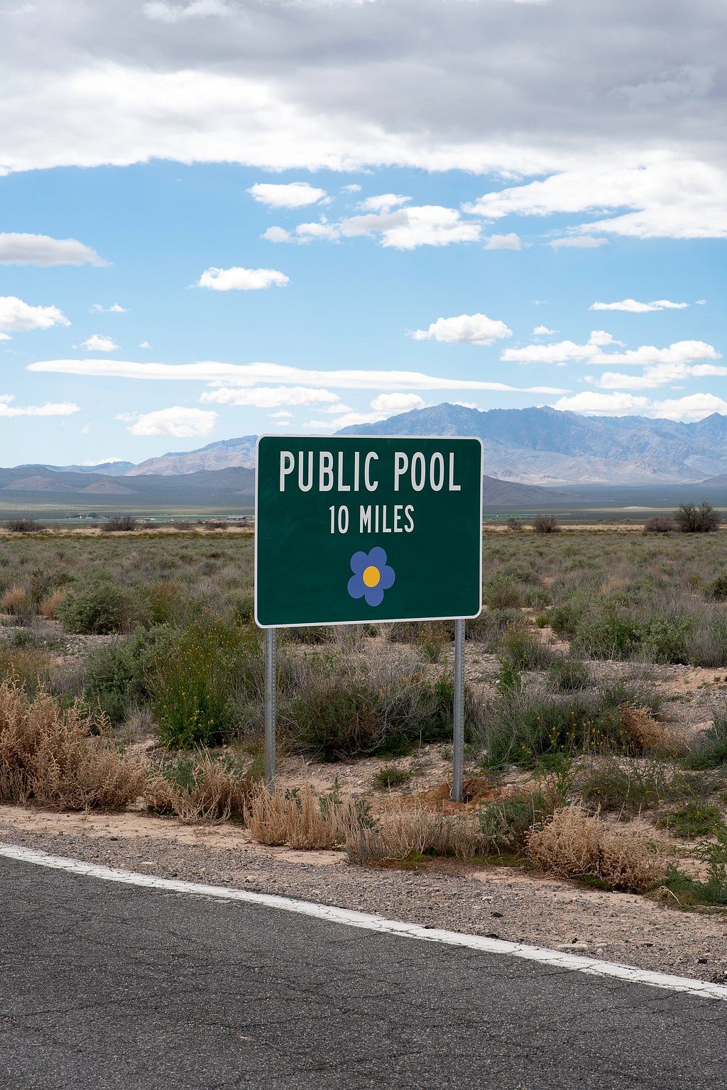 Cj Hendry's Public Pool Art Installation Whimsical Oasis in the Las ...