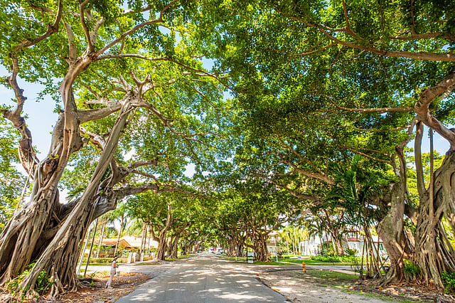 Explore $4M Luxury Homes in Coral Gables,