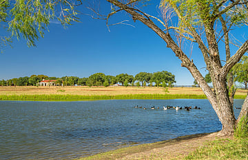 Drake Buys Luxurious $15 Million Texas Ranch