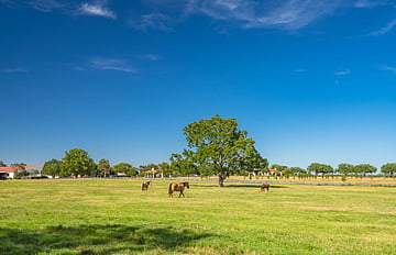 Drake Buys Luxurious $15 Million Texas Ranch