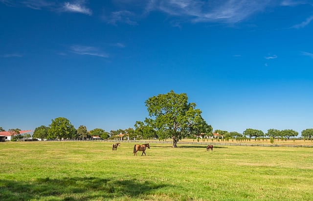 Drake Buys Luxurious $15 Million Texas Ranch