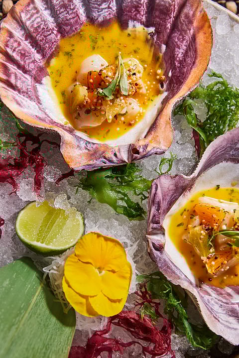 CATCH Miami Beach: A Luxurious Culinary Oasis in Miami