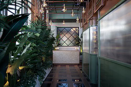 CATCH Miami Beach: A Luxurious Culinary Oasis in Miami