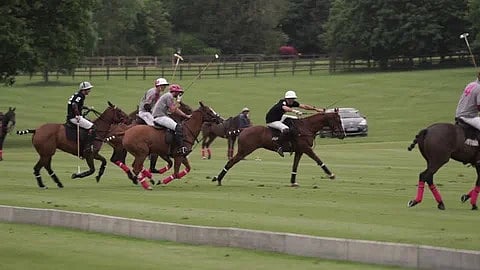 How Polo Works: Rules, Techniques, and Essential Equipment Explained