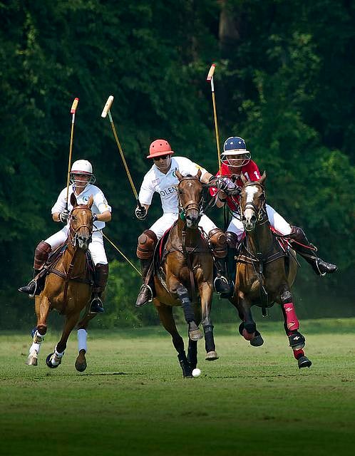 How Polo Works: Rules, Techniques, and Essential Equipment Explained