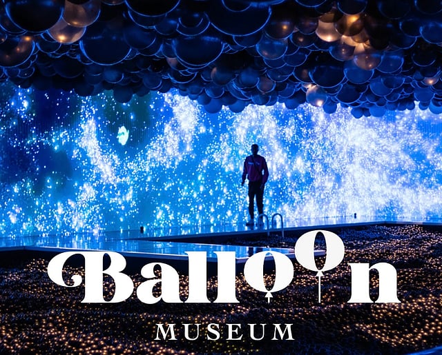 Let’s Fly: The Balloon Museum Brings Excitement to Wynwood