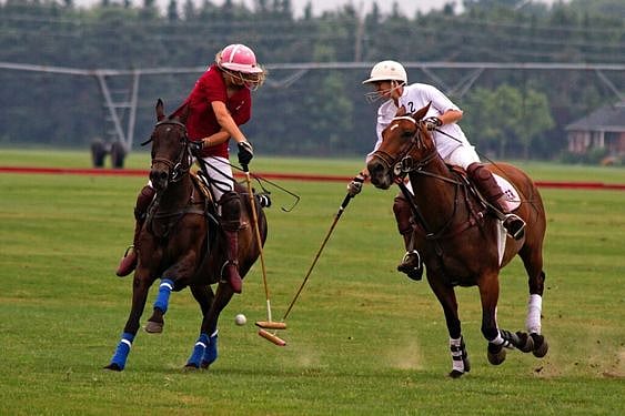 How Polo Works: Rules, Techniques, and Essential Equipment Explained