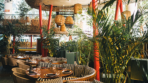 Hell’s Kitchen Miami: Gordon Ramsay’s Culinary Spectacle Awaits