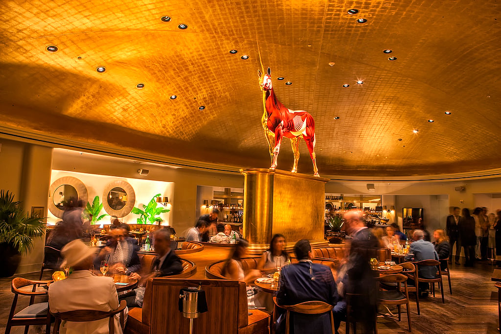 Explore Top Restaurants with Miami Spice 2024 Deals