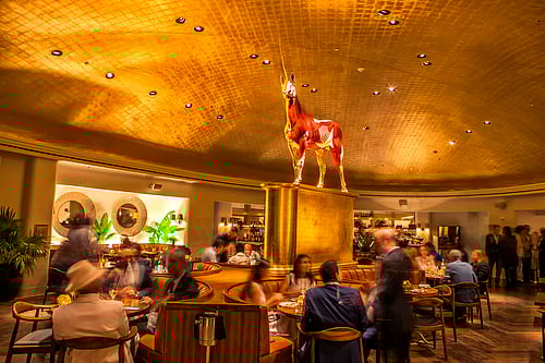 Explore Top Restaurants with Miami Spice 2024 Deals