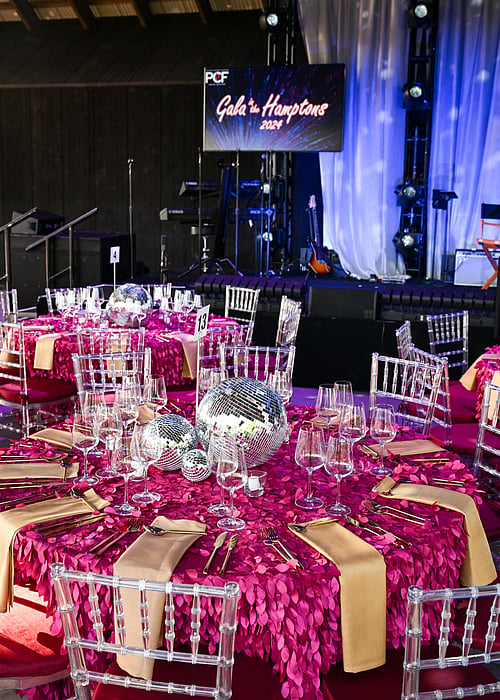 Elon Musk Headlines Prostate Cancer Foundation’s 2024 Hamptons Gala
