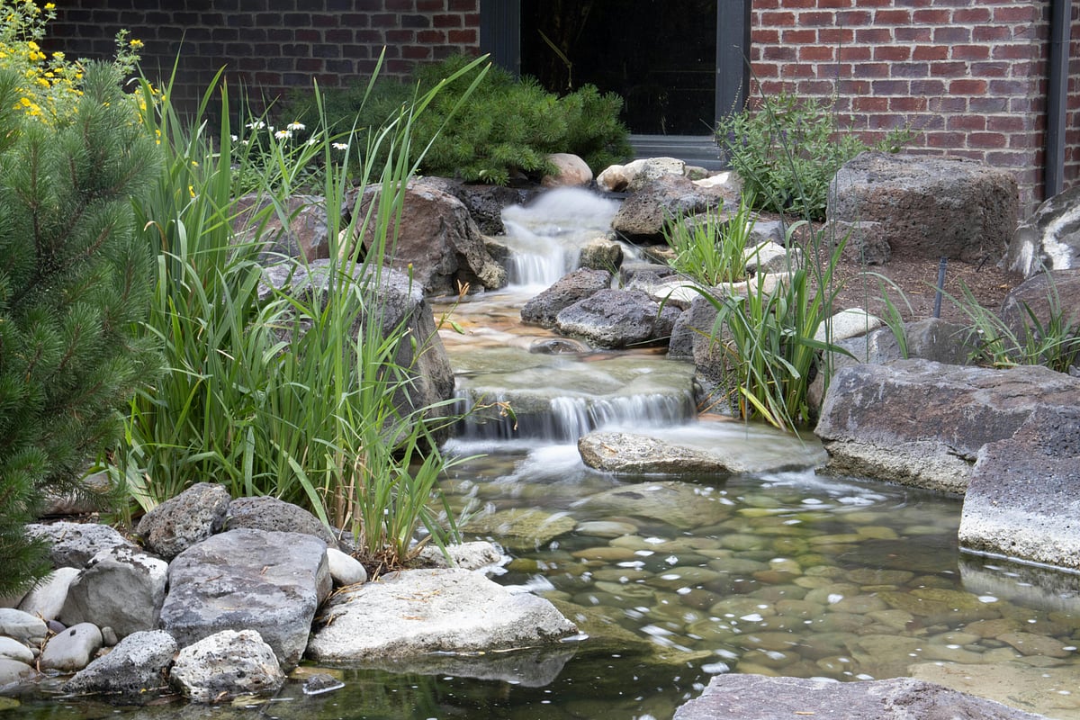 Create a Serene Oasis with Pondless Waterfall Kits: A Step-by-Step Guide