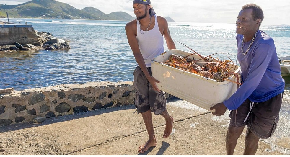 Ultimate Guide to British Virgin Islands Festivals: 2024 Holiday Parties