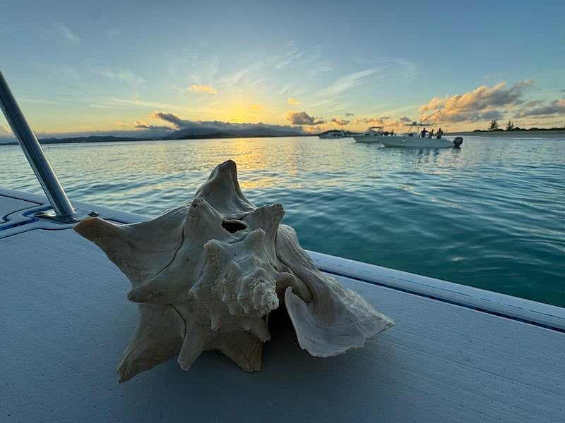 Ultimate Guide to British Virgin Islands Festivals: 2024 Holiday Parties