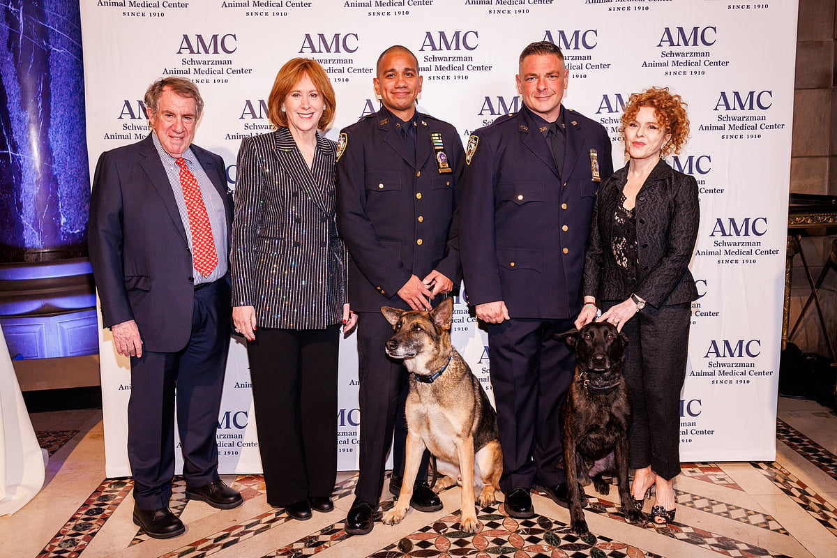 Inside the 2024 AMC Top Dog Gala Honoring NYPD’s Canine Heroes