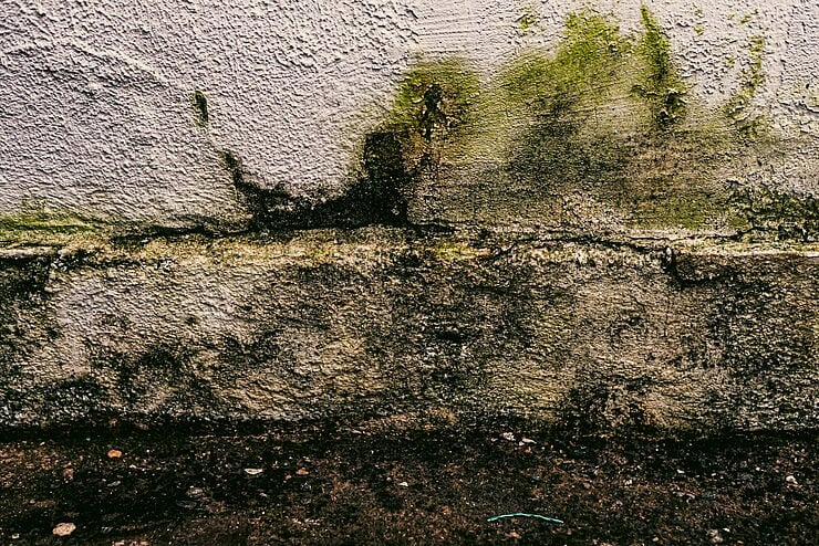Understanding Rising Damp: Causes, Solutions, and Prevention Tips