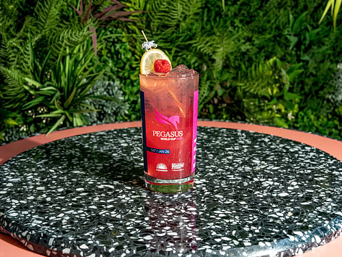 Sip in Style: Official Cocktails of the 2025 Pegasus World Cup