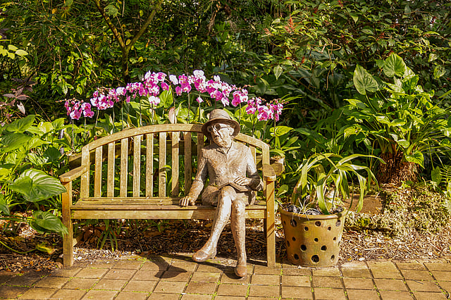 Orchids in Bloom Festival Returns to Miami's Fairchild Garden in 2025