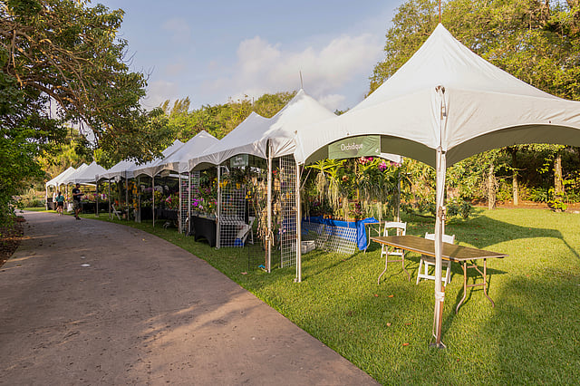 Orchids in Bloom Festival Returns to Miami's Fairchild Garden in 2025