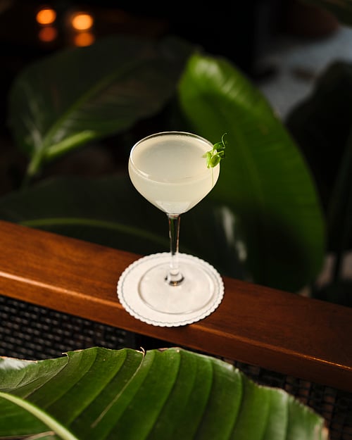 Discover Back Bar at Kimpton Hotel Eventi: Chelsea’s Chic Cocktail Haven