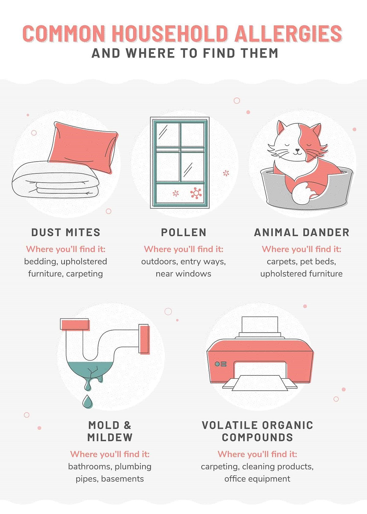 How to Allergy-Proof Your Home from Dust, Pollen, and Pets
