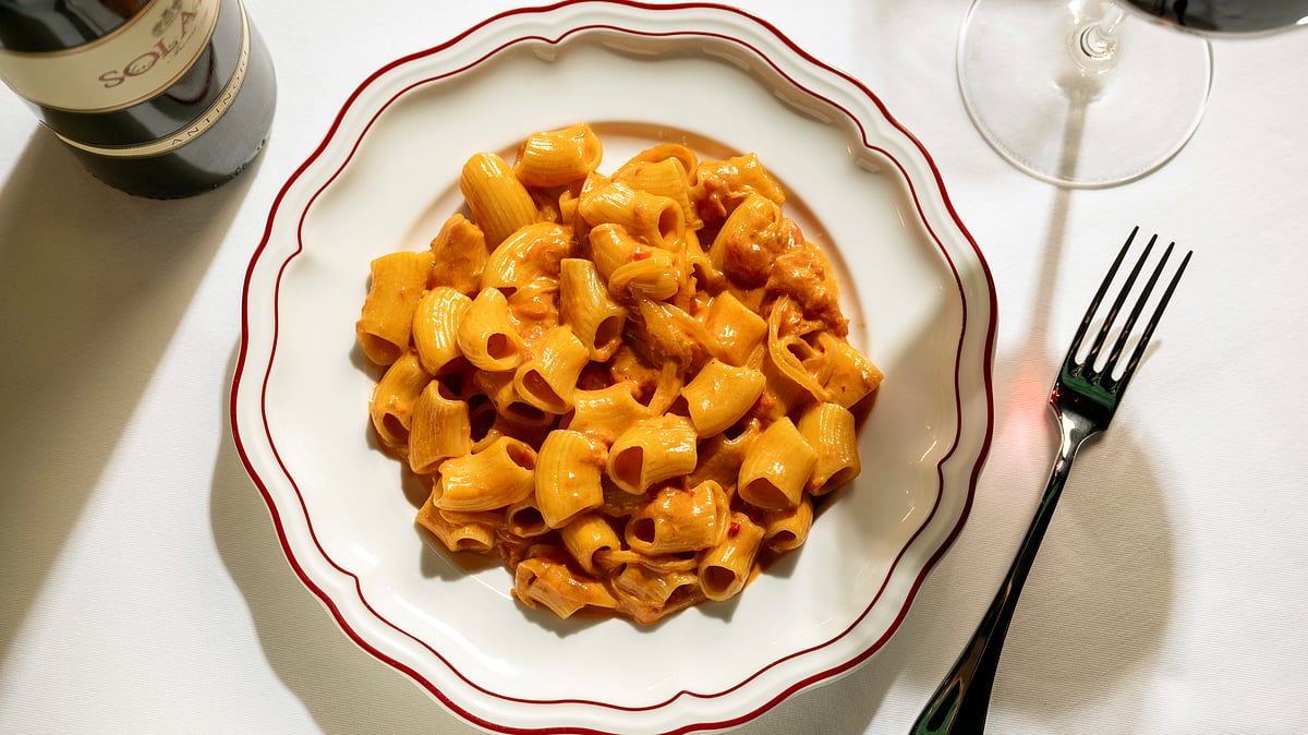 Carbone Vino: Miami's Ultimate Italian Dining and Wine Experience