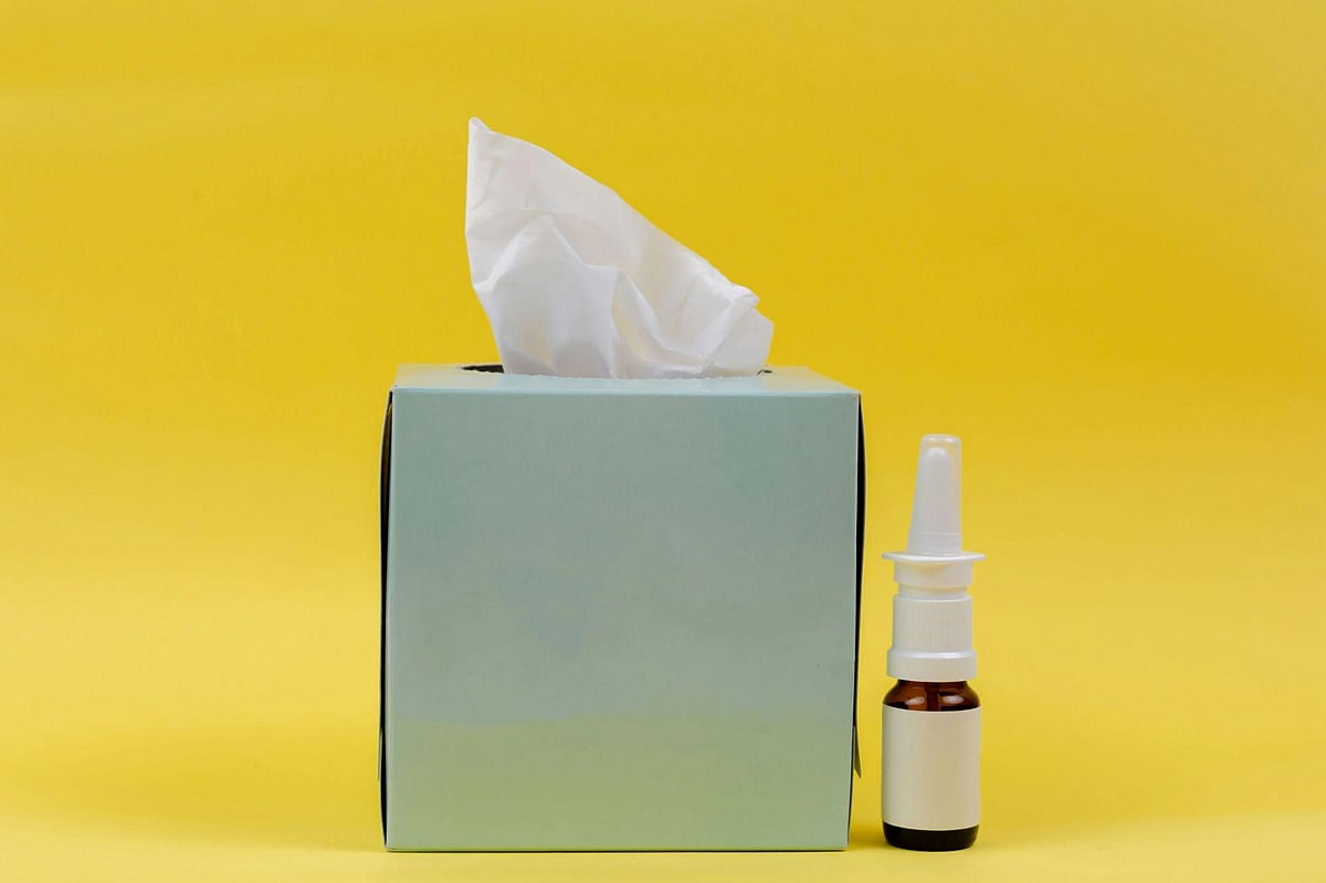 10 Hidden Home Allergies and How to Prevent Them