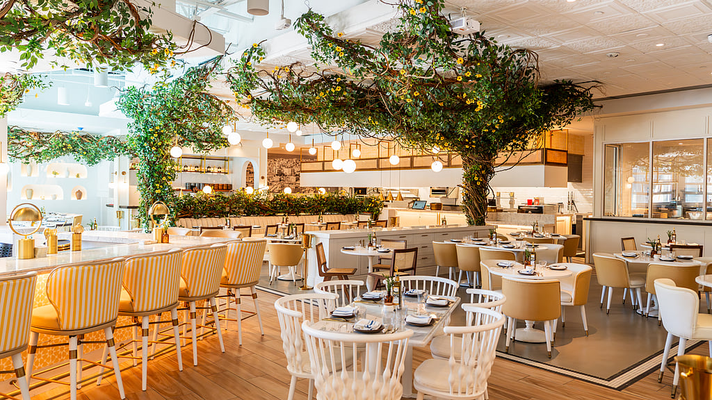 MOTEK Opens in Boca Raton: Mediterranean Cuisine with Family Roots