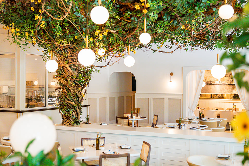 MOTEK Opens in Boca Raton: Mediterranean Cuisine with Family Roots