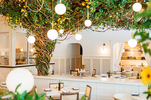 MOTEK Opens in Boca Raton: Mediterranean Cuisine with Family Roots