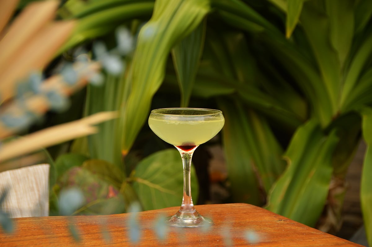 Eco-Friendly Cocktails: Celebrate Earth Day with Sustainable Sips in Miami