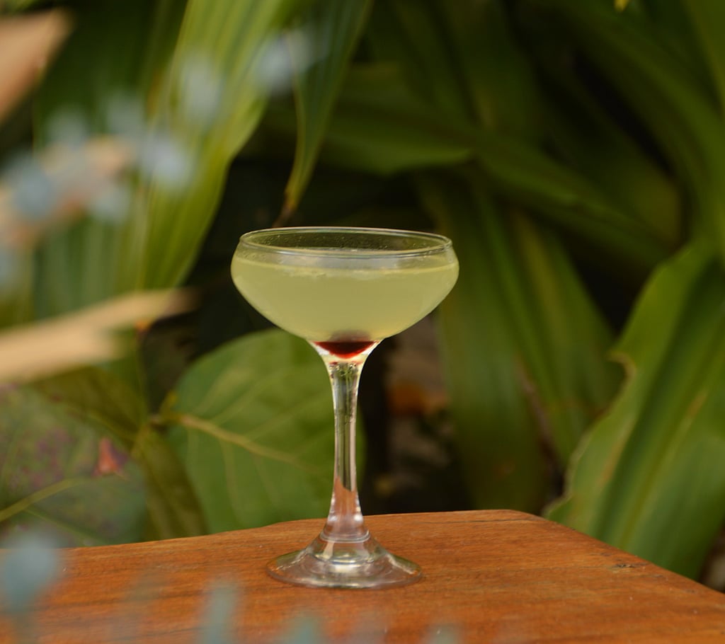 Eco-Friendly Cocktails: Celebrate Earth Day with Sustainable Sips in Miami