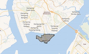 Reviving Forest City: Malaysia's New Financial Frontier