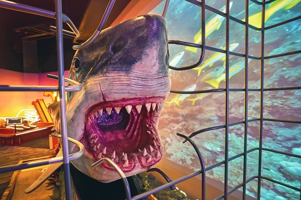 Albatross Debut: World's Largest Indoor Mini Putting Hits Edison, NJ