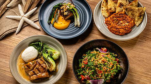 Discover Adrienne's Food Diaries at Burlock Coast's Culinary Revival