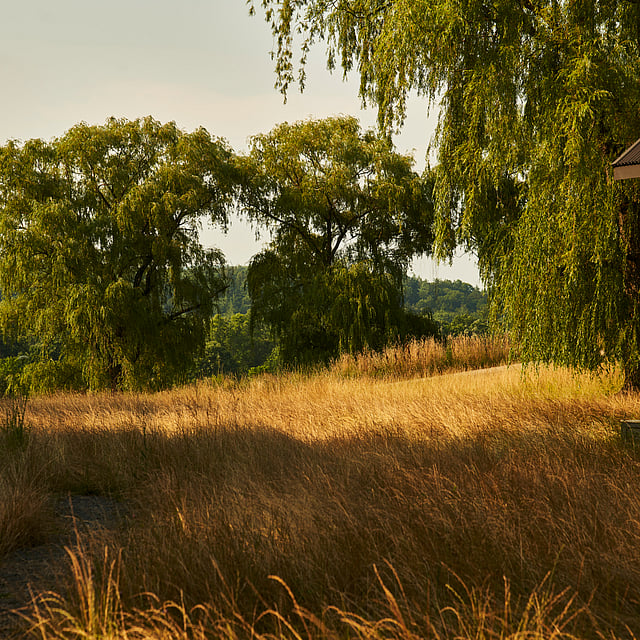 Luxury Escape: Discover Inness Resort in Upstate New York