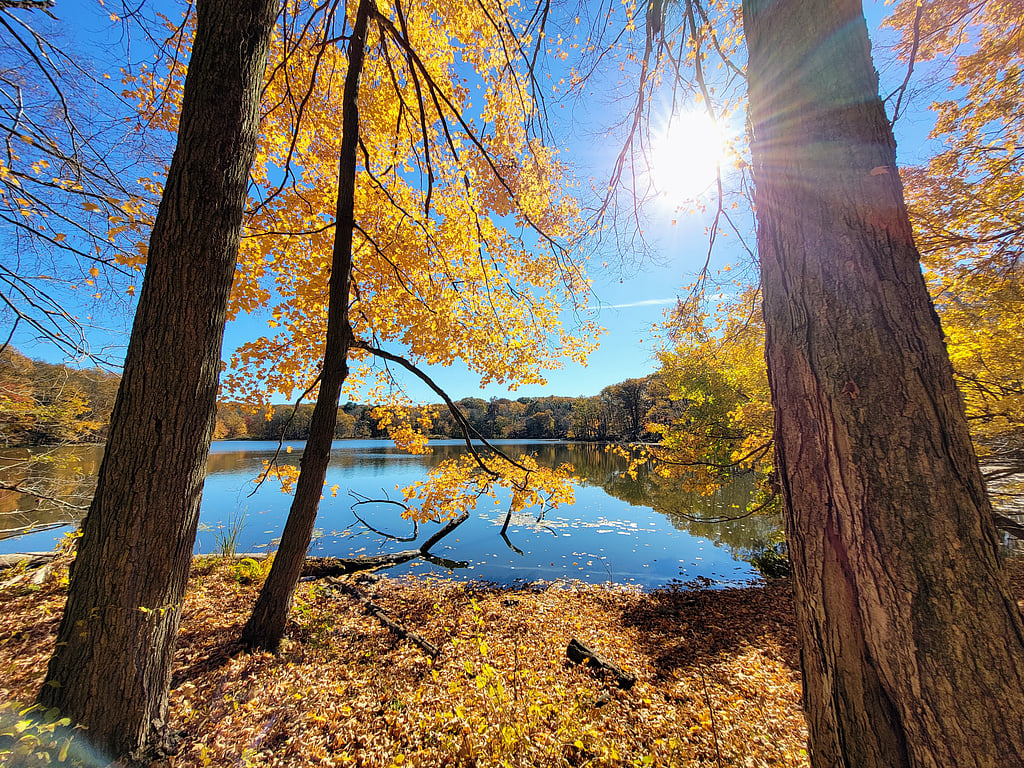 Discover Teatown: Nature's Escape Near New York City