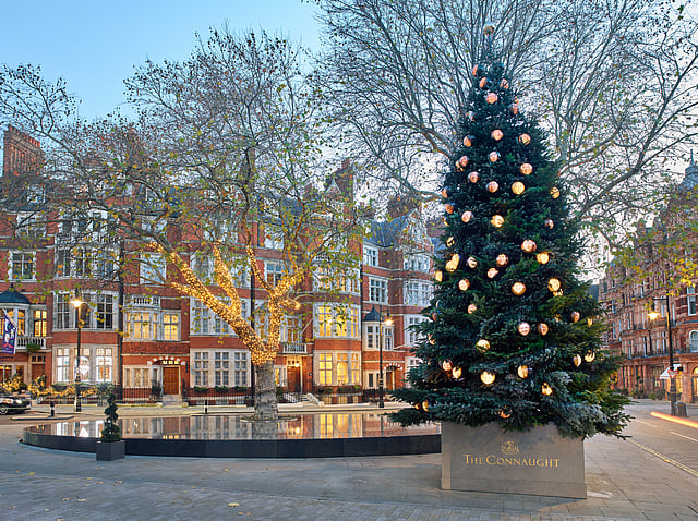 Mayfair Festive Art: Urs Fischer’s 2025 Connaught Christmas Tree Lights ...