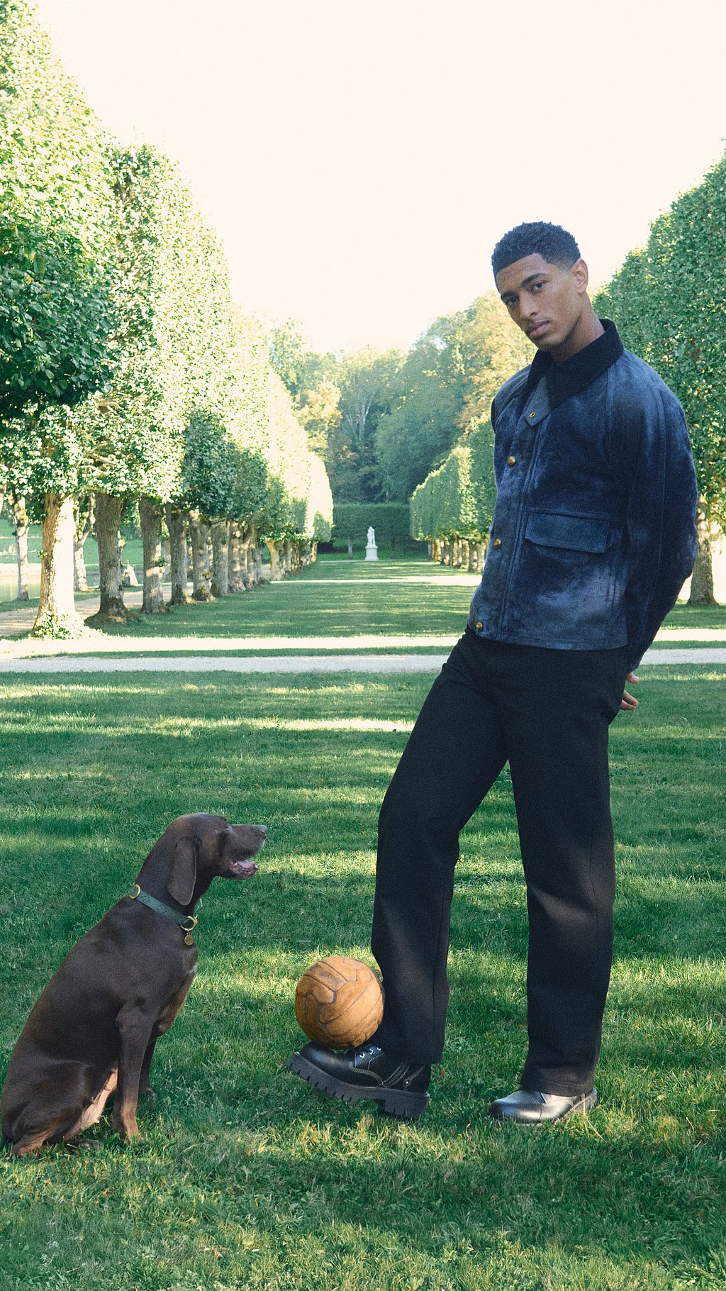 Louis Vuitton Pet Collection: Luxury Dog Accessories Blend Style ...